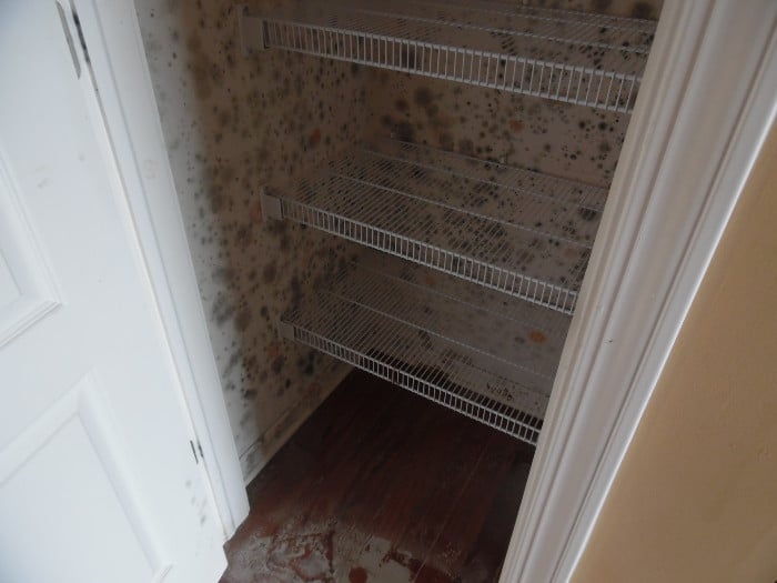 What Do I Do About Mold in My Closet? | AdvantaClean